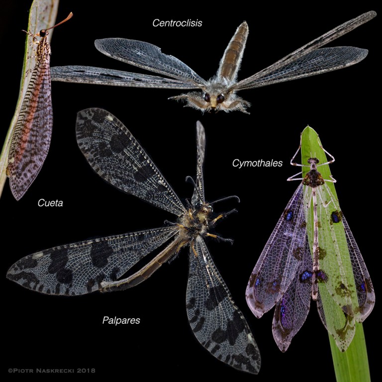 Mozambique Diary: Demons in the dust – The Smaller Majority